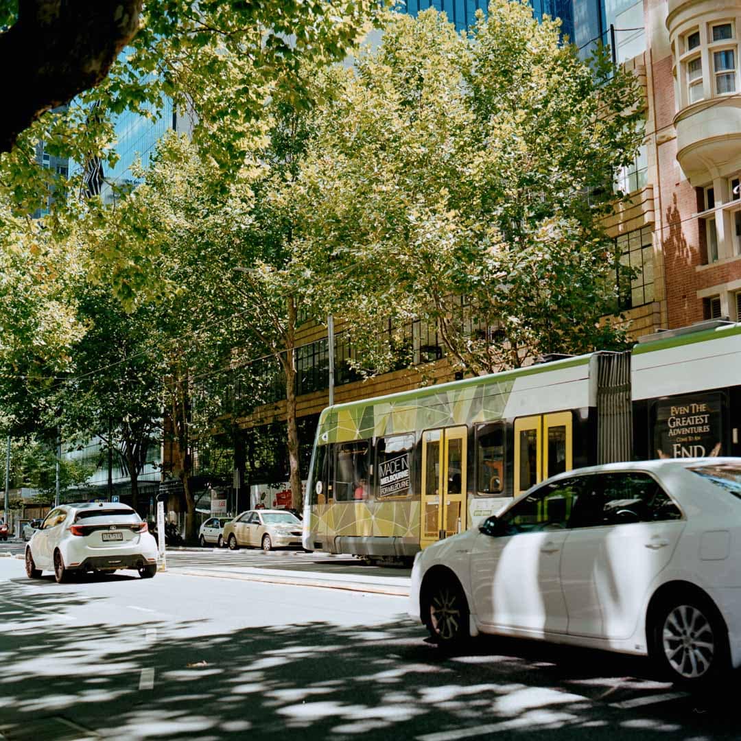 Kodak Gold 200 Photos - Gorak Photo