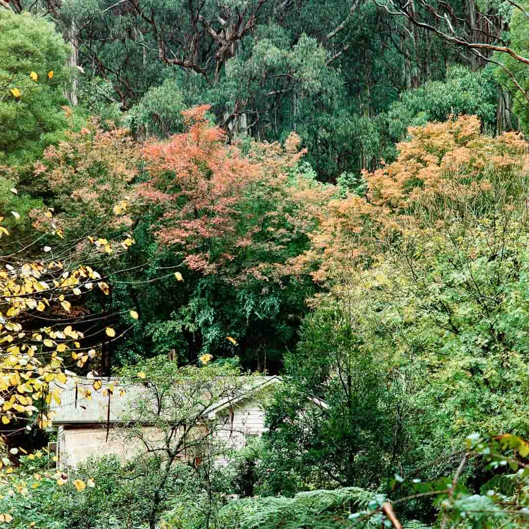 Colour Film Photography Gorak Photo colour-film-photography-gorak-photo